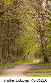 7,958 Windy path Images, Stock Photos & Vectors | Shutterstock
