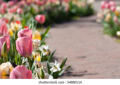 Spring Pathway Stock Photo 54880114 | Shutterstock