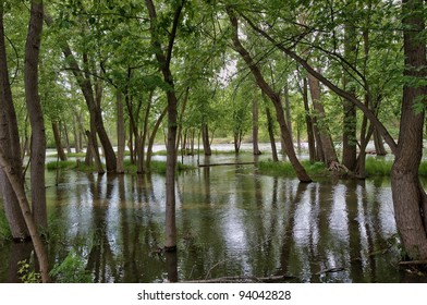 699 Spring in boise idaho Images, Stock Photos & Vectors | Shutterstock