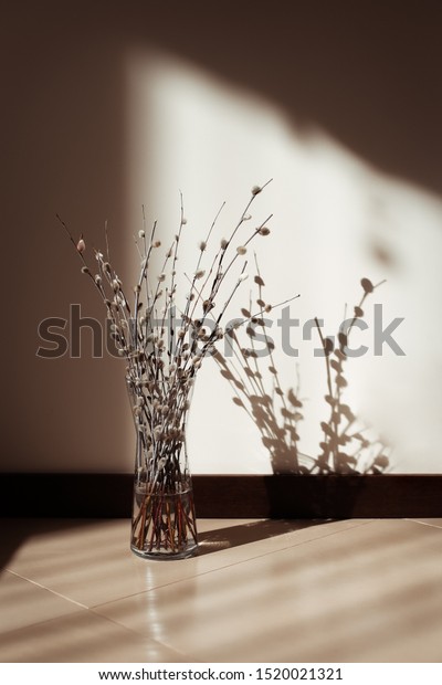 Spring Shadows Willow Tree White Stock Photo 1520021321 | Shutterstock