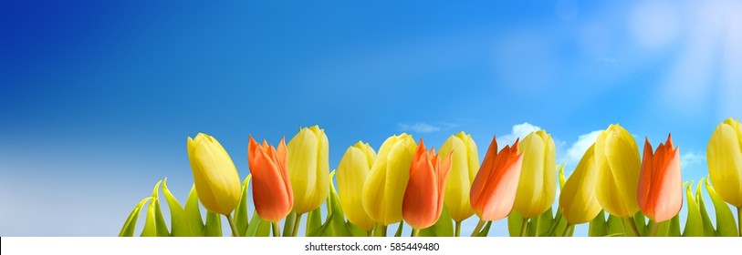Spring Summer Background Stock Photo 585449480 | Shutterstock