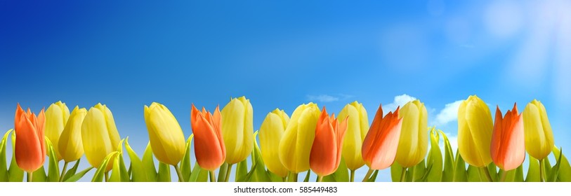 Spring Summer Background Stock Photo 585449483 | Shutterstock