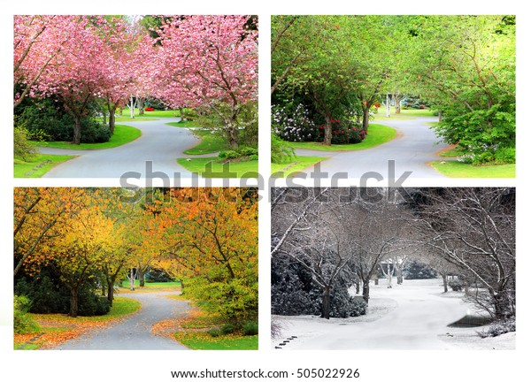 Spring Summer Fall Winter Four Seasons Stock Photo (Edit Now) 505022926