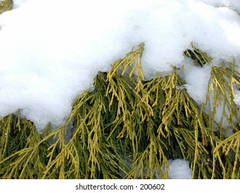 Spring Thaw Stock Photo 200602 | Shutterstock