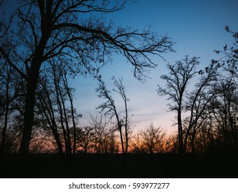 Stock Photo and Image Portfolio by Vasily Dvortsov | Shutterstock