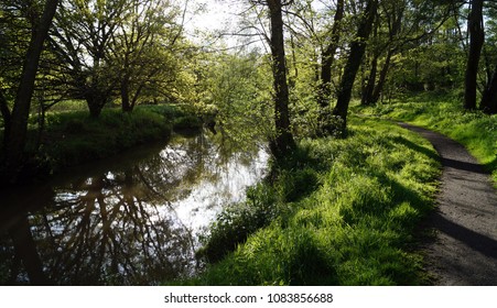 Spring Walk Down Path Next River Stock Photo 1083856688 | Shutterstock