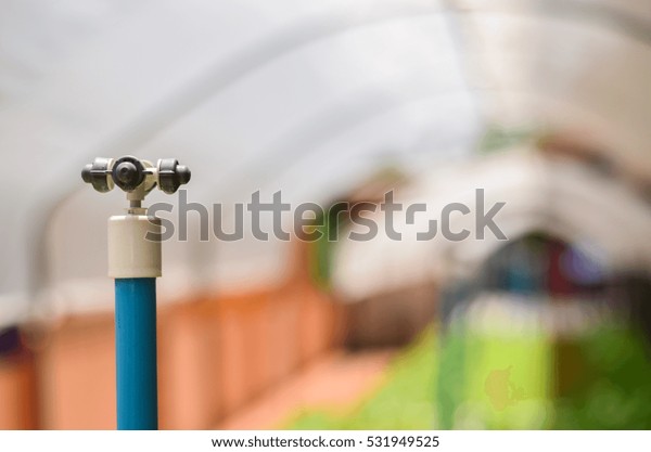 Springer Vegetable Stock Photo 531949525 | Shutterstock