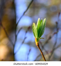 Stock Photo and Image Portfolio by DarrenWagner | Shutterstock