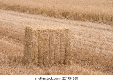Square Haystack On Ripe Wheat Field Stock Photo 224954860 | Shutterstock