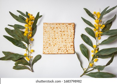 134 Matza Plant Images, Stock Photos & Vectors | Shutterstock