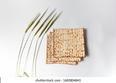 134 Matza Plant Images, Stock Photos & Vectors | Shutterstock