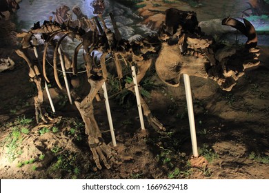 16 Sangiran early man site Images, Stock Photos & Vectors | Shutterstock