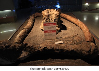 16 Sangiran early man site Images, Stock Photos & Vectors | Shutterstock