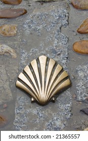 St James Shell Stock Photo 21365557 | Shutterstock