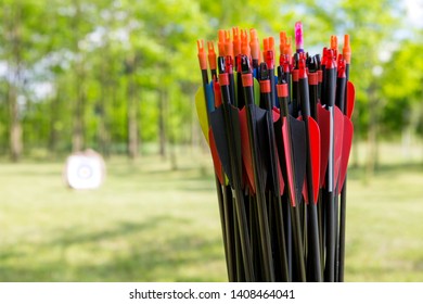 Stack Arrows On Shooting Range Stock Photo 1408464041 | Shutterstock