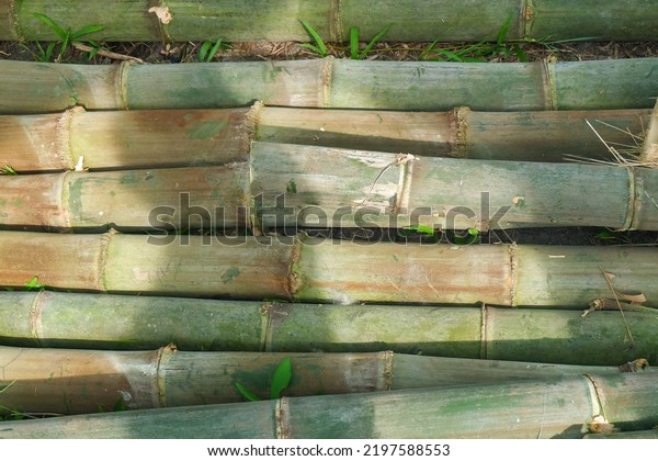 Stack Bamboo Wallpaper Background Stock Photo 2197588553 | Shutterstock