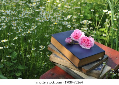 Stack Books Flowers Between Pages On Stock Photo 1908475264 | Shutterstock