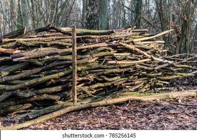 66,609 Branch pile Images, Stock Photos & Vectors | Shutterstock