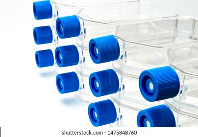 Stack Cell Culture Flasks Vent Caps Stock Photo 1475848760 | Shutterstock