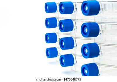 Stack Cell Culture Flasks Vent Caps Stock Photo 1475848760 | Shutterstock