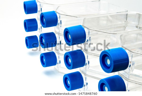 Stack Cell Culture Flasks Vent Caps Stock Photo 1475848760 | Shutterstock