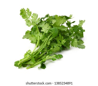 Stack Cilantro On White Background Stock Photo 1385234891 | Shutterstock
