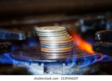 1,611 Lit coin Images, Stock Photos & Vectors | Shutterstock