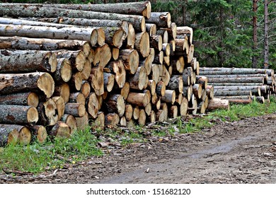 Stack Cut Trees On Side Forest Stock Photo 151682120 | Shutterstock