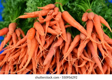 Stack Fresh Carrots Stock Photo 550956292 | Shutterstock
