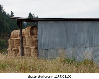 Stack Fresh Cut Large Round Hay Foto stock 1175331100 | Shutterstock