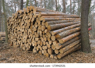 Stack Freshly Cut Trees Forest Stock Photo 173942531 | Shutterstock