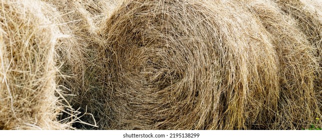 20,425 Hay circle Images, Stock Photos & Vectors | Shutterstock
