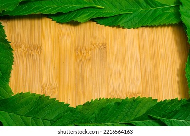 155,156 Stack Of Leaves Images, Stock Photos & Vectors | Shutterstock
