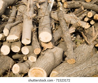 Stack Logs Stock Photo 71523172 | Shutterstock