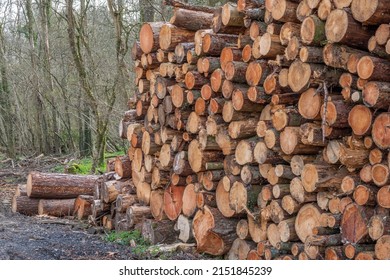 Stack Logs Countryside Logging Timber Wood Stock Photo 2151845239 ...
