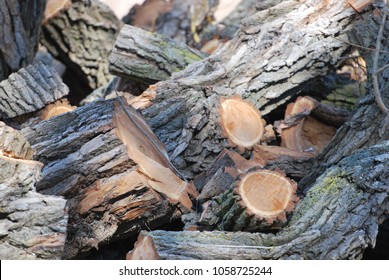 54 North America Slash Images, Stock Photos & Vectors | Shutterstock