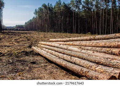 16,495 Long log Images, Stock Photos & Vectors | Shutterstock