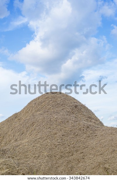 Stack Looks Like Volcano Stock Photo 343842674 | Shutterstock