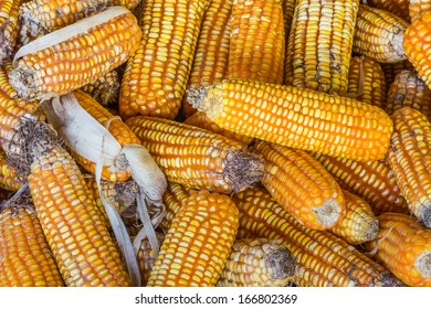 Stack Maize Stock Photo 166802369 | Shutterstock