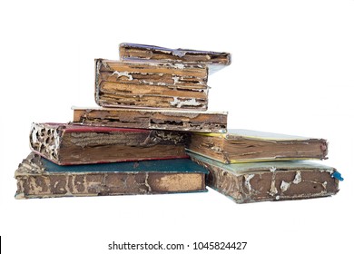 478 imágenes de Termite book - Imágenes, fotos y vectores de stock ...