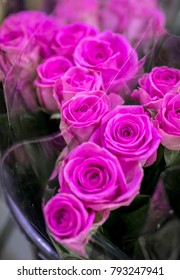Stack Pink Roses Stock Photo 793247941 | Shutterstock