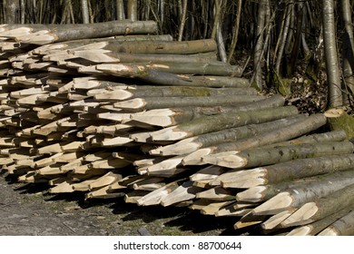 Stack Pointed Sharpen Wooden Posts Fence Stock Photo 88700644 ...