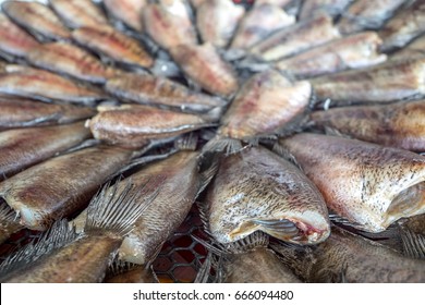 Stack Salted Dried Small Fish That Stock Photo 666094480 | Shutterstock