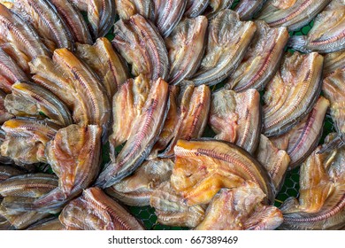 Stack Salted Dried Small Fish That Stock Photo 667389469 | Shutterstock