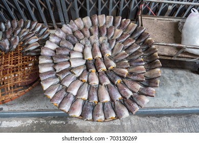 Stack Salted Dried Small Fish That Stock Photo 703130269 | Shutterstock