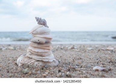 Stack Sea Shell Beach Sea Blue Stock Photo 1421285450 | Shutterstock