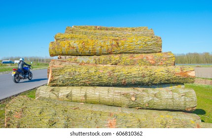 Stack Timber Along Road Spring Stock Photo 606810362 | Shutterstock