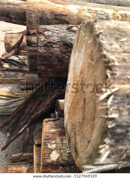 Stack Timber Inside Timber Factory Perak Stock Photo 1527969329 ...
