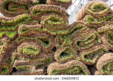 Stack Turf Grass Lawn Roll Sod Stock Photo 1968359872 | Shutterstock