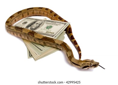 Stack Us 100 Dollar Bills Snake Stock Photo 42995425 | Shutterstock